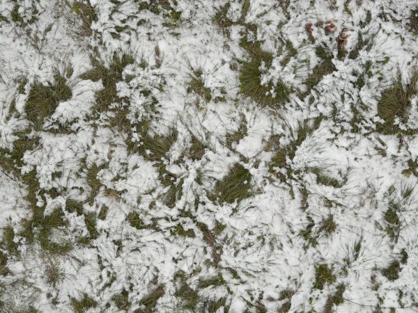 frozen ground texture 0051 - Texturelib
